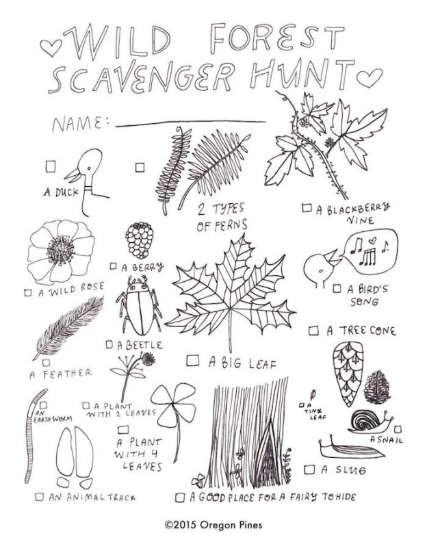 Wild Forest Scavenger Hunt | Oregon Pines